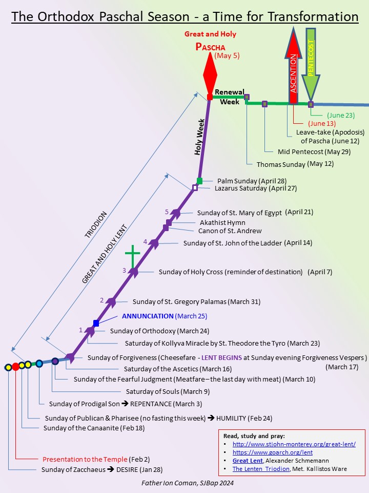 Welcome to Our Parish Website | St. John the Baptist Greek Orthodox Church